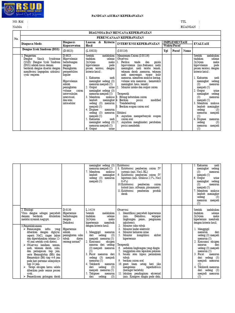 Sak Hcupicu-Dss | PDF