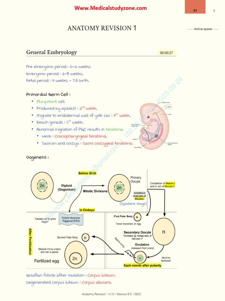 Anatomy Revision E6.5 (Medicalstudyzone - Com) | PDF