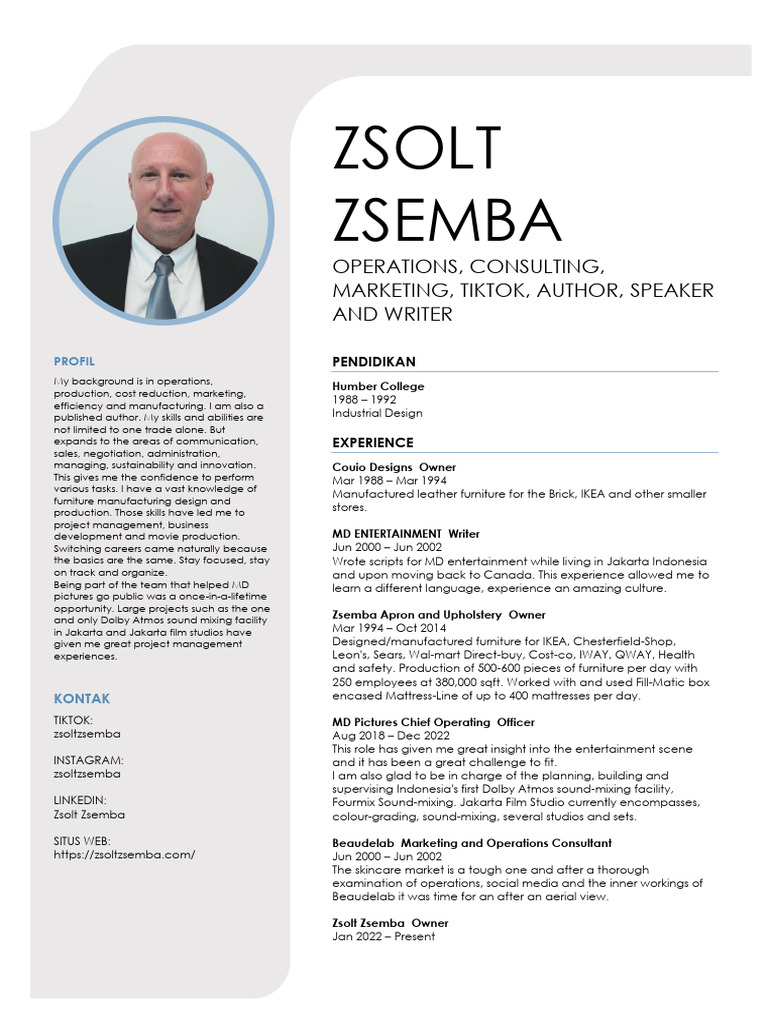 Zsolt Zsemba CV | PDF | Business