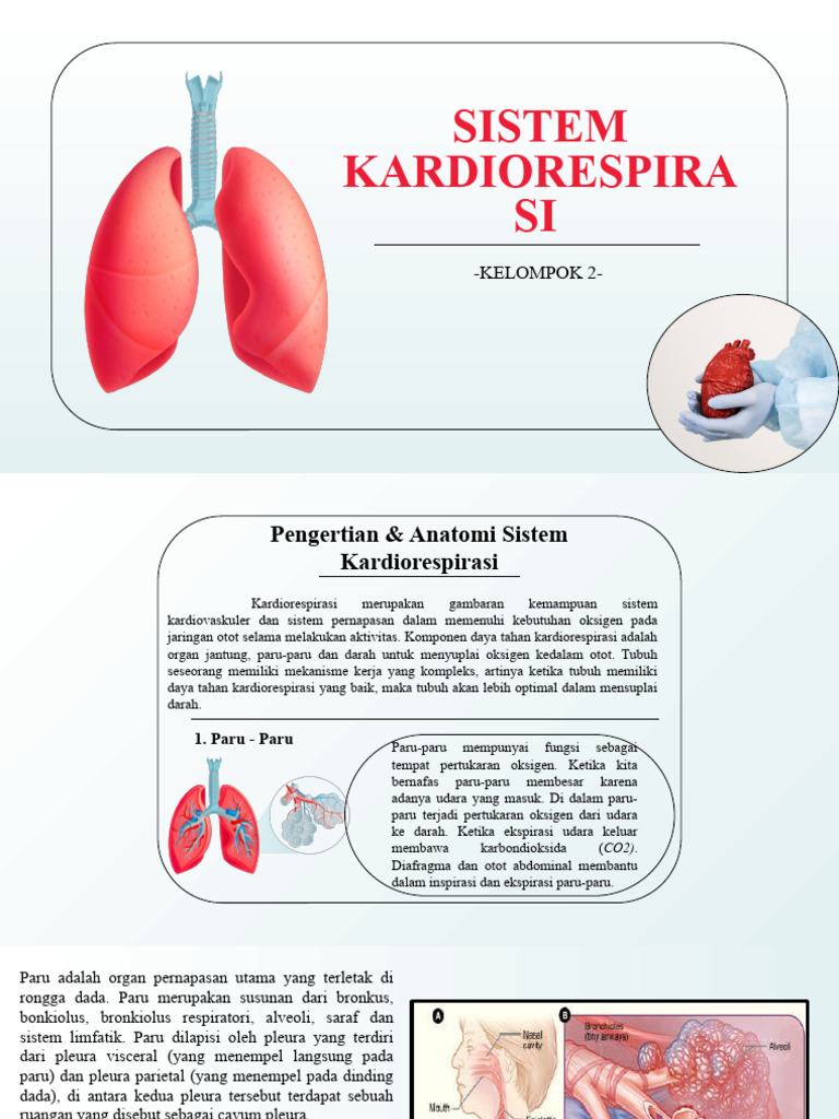 Sistem Kardiorespirasi | PDF