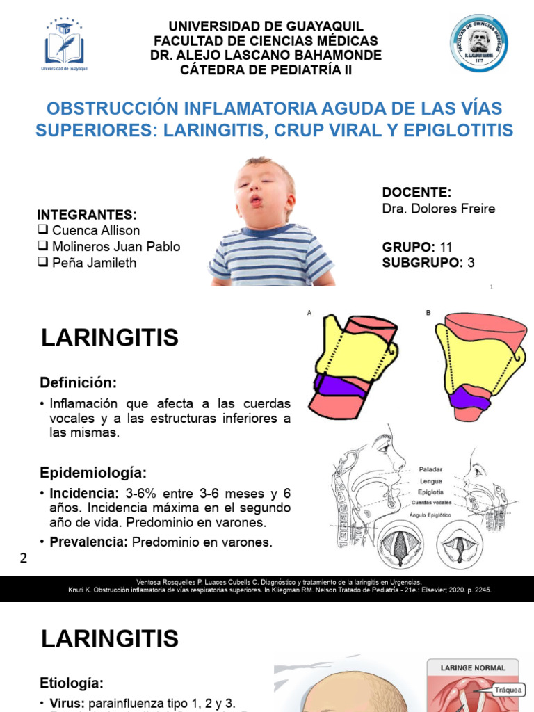 Laringitis, Crup Viral y Epiglotitis-2 | PDF | Ciencias de la Salud ...
