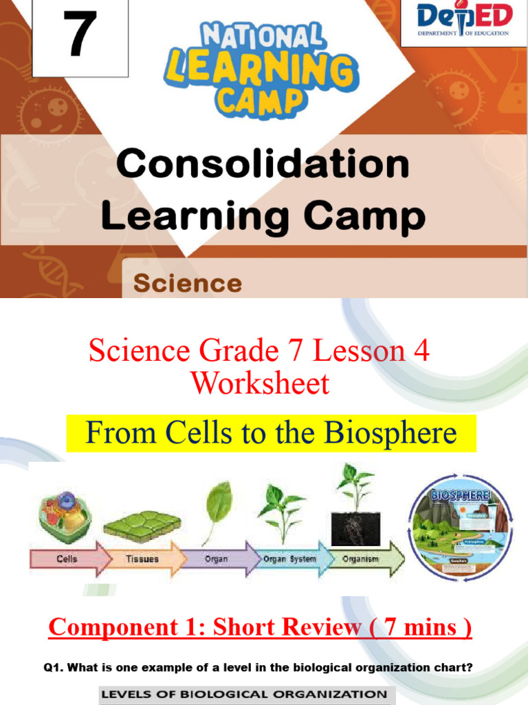 From Cells to the Biosphere | PDF | Science