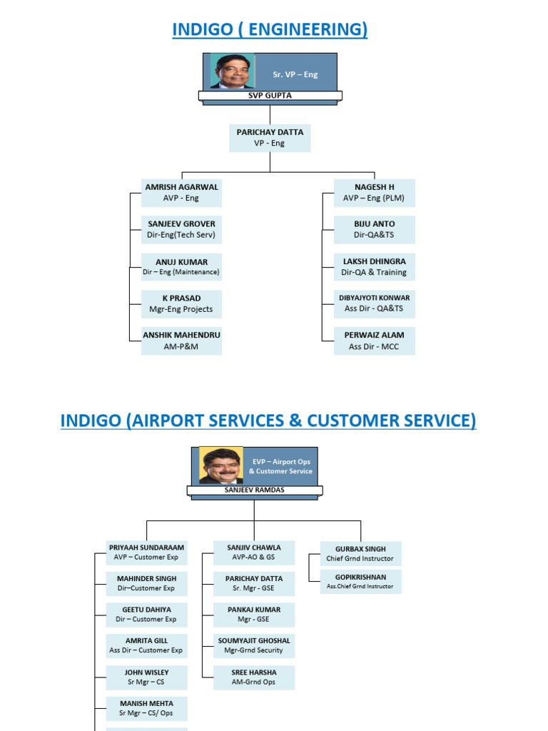 Indigo Org Chart | PDF