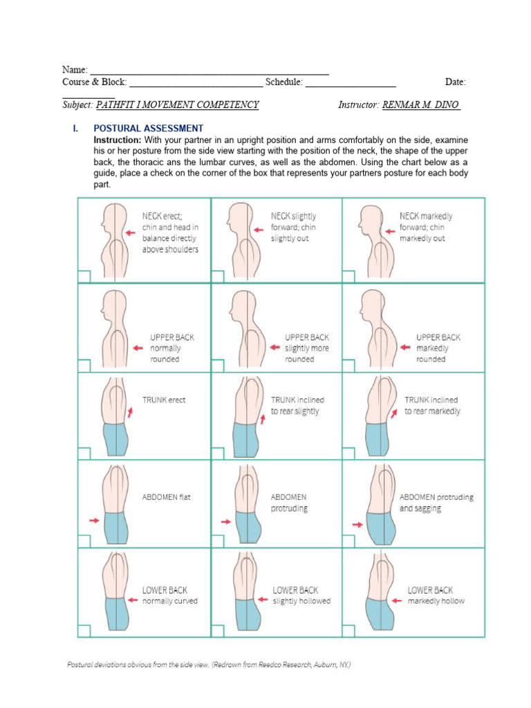 Postural Assessment | PDF