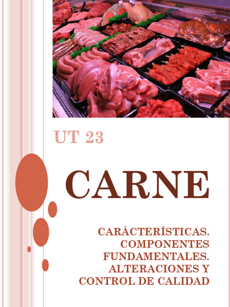 Carne | PDF | Carne | Músculo esquelético