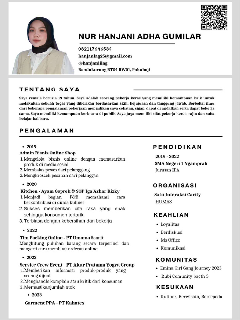 CV Nur Hanjani | PDF