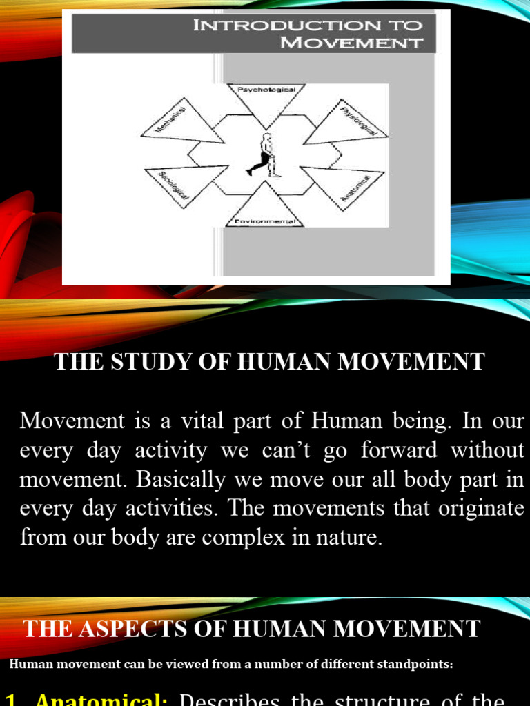 Human Movement | Download Free PDF | Anatomical Terms Of Location ...
