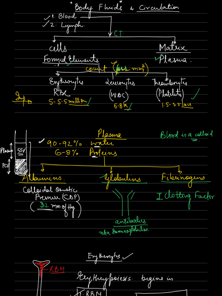 Body Fluids Part 1 | PDF