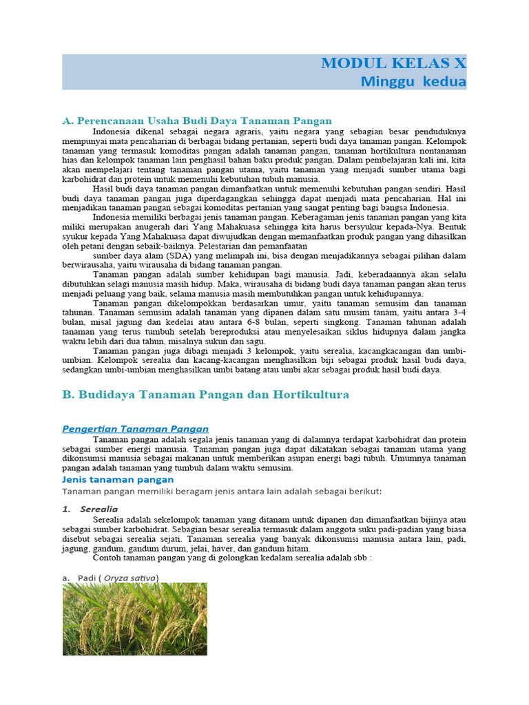 Pentingnya Perencanaan Budidaya Pangan | PDF
