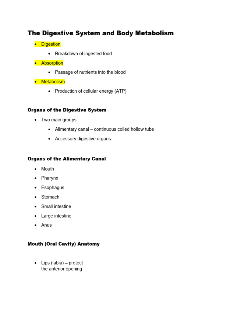 The Digestive System and Body Metabolism 1 | PDF | Human Digestive ...