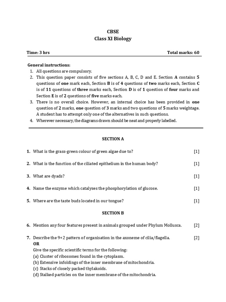 Class11 Biology Biology - 2019 Set - 1 | PDF | Retina | Cell (Biology)