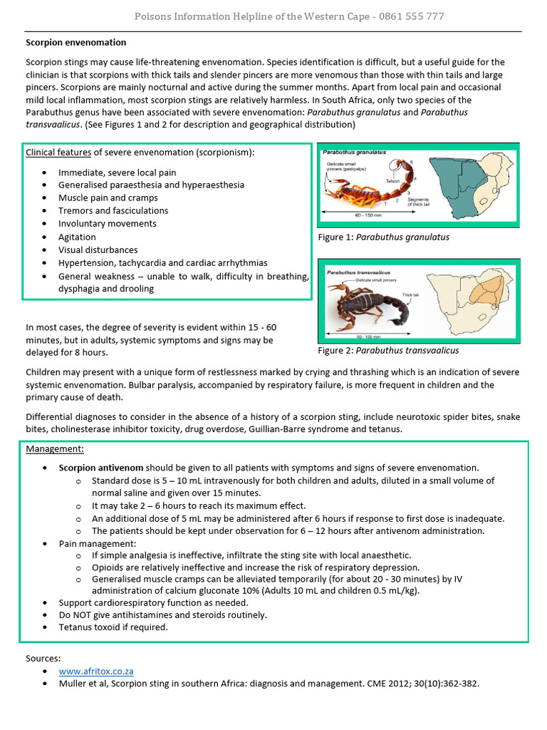 PIH Scorpion Envenomation Guideline | PDF | Clinical Medicine | Medical ...