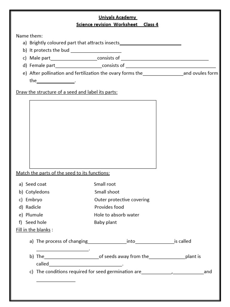 CLASS-5 Science Revision Worksheet L-1 | PDF | Seed | Plants