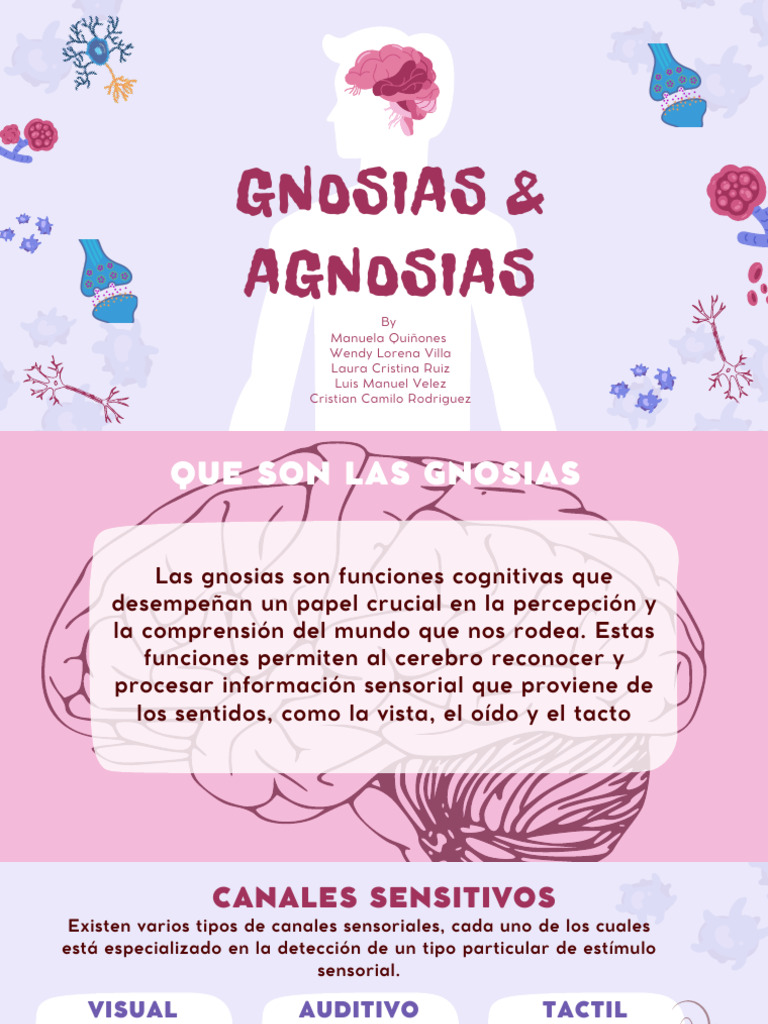 Gnosias y Agnosias | PDF | Percepción | Cerebro