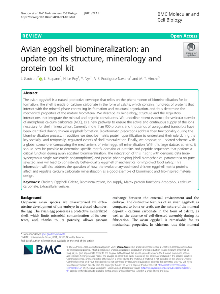 Structure Eggshell | PDF | Proteins | Bioinformatics