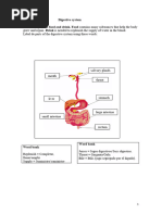 The Digestive System - Grade 6 | PDF | Digestion | Small Intestine