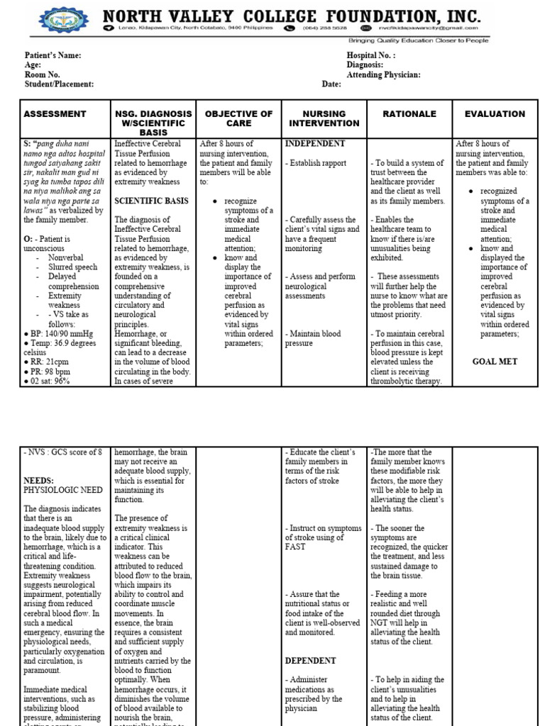 Nursing Care Plan Format X1 | PDF | Stroke | Bleeding