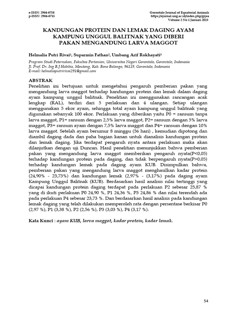 Pengaruh Larva Maggot pada Daging Ayam KUB | PDF