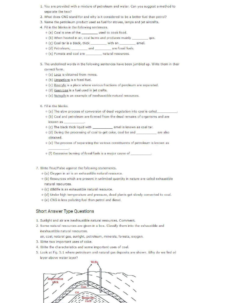 Important Questions For Class 8 Science Chapter 5 Coal And Petroleum Pdf