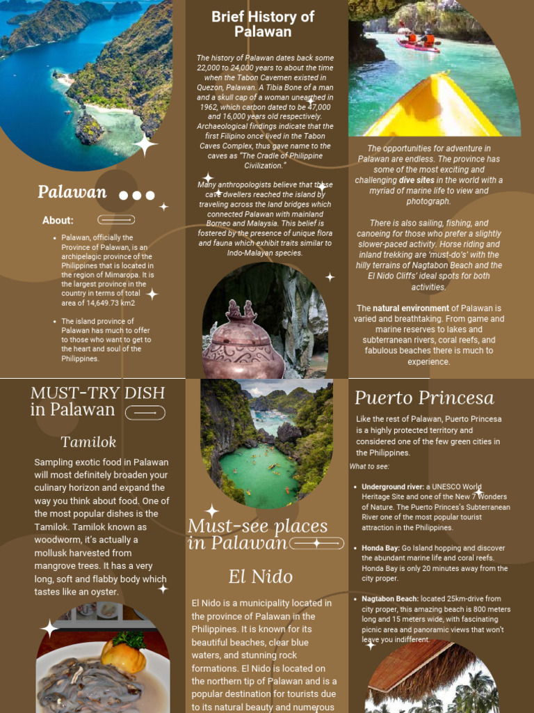 Brown Creative Travel Adventure Trifold Brochure | PDF | Philippines ...