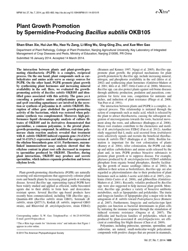 Plant Growth Promotion by Spermidine-Producing Bacillus Subtilis OKB105 ...