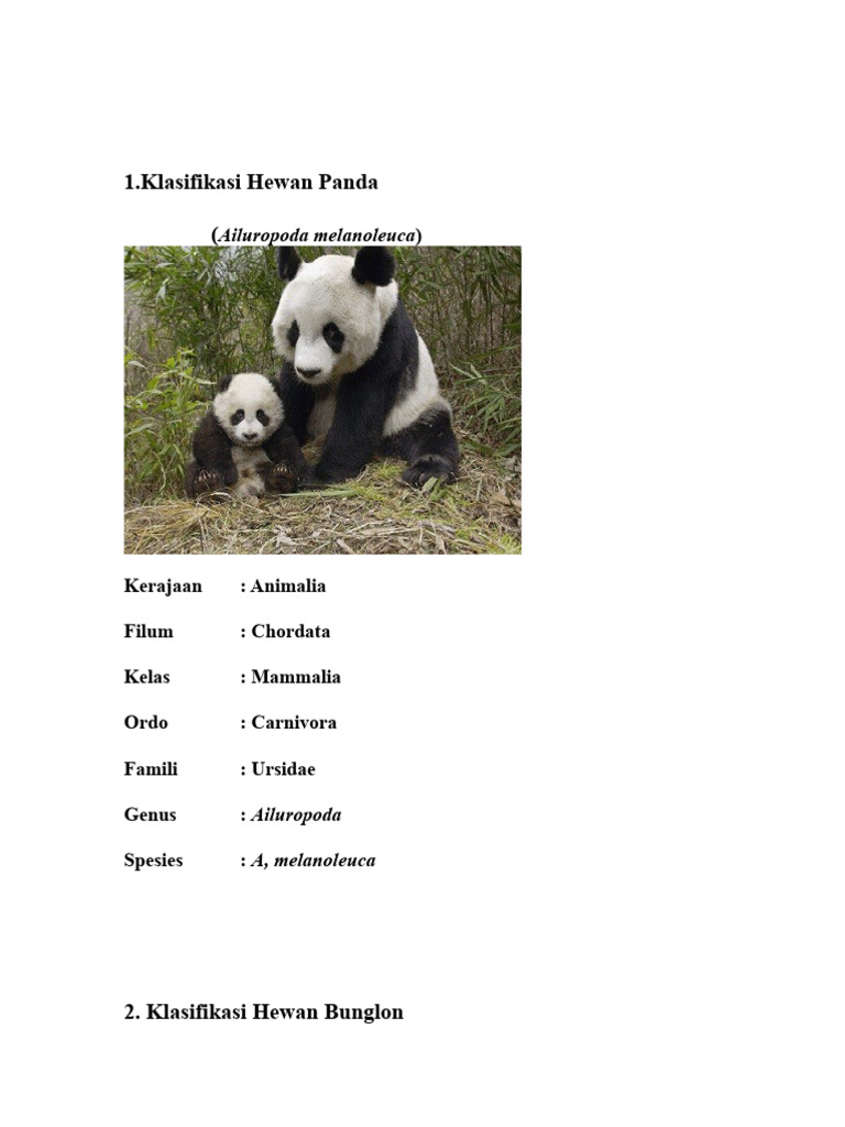 Taksonomi Hewan | PDF