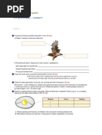Sprawdzian-Technika KL 6 | PDF