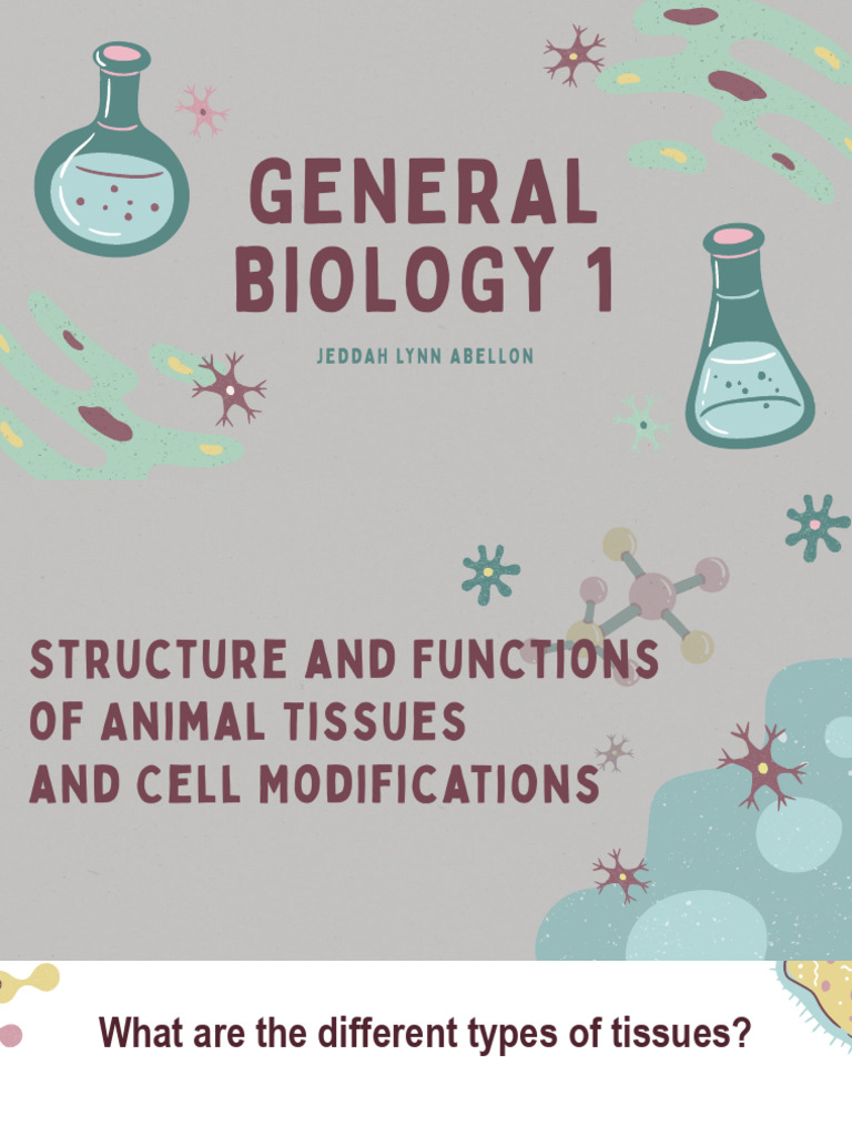 Structures and Functions of Animal Tissues and Cell Modifications | PDF