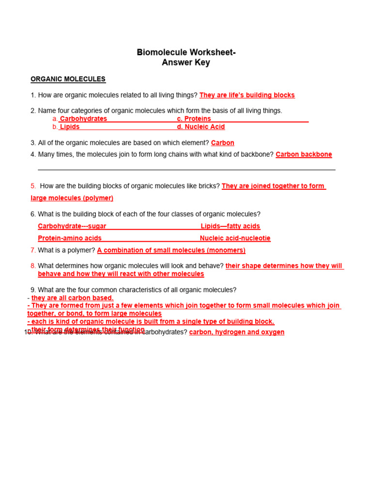 Key Concepts of Biomolecules | PDF | Dna | Nucleic Acids