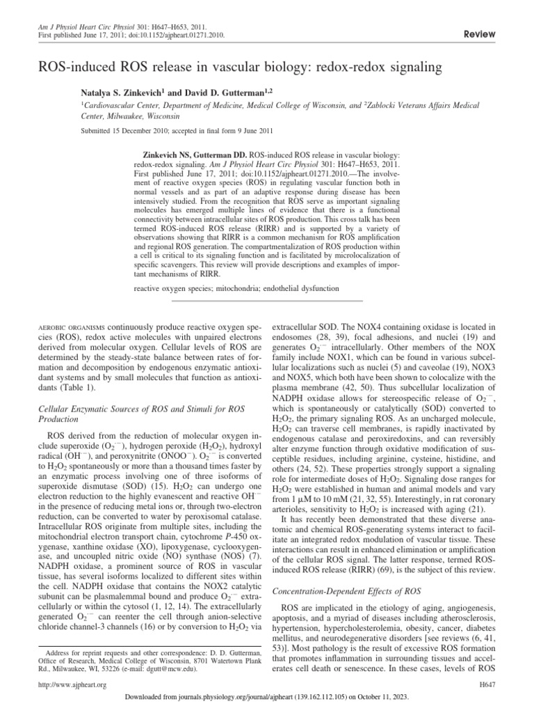 Zinkevich Gutterman 2011 Ros Induced Ros Release in Vascular Biology Redox 4444signaling ...
