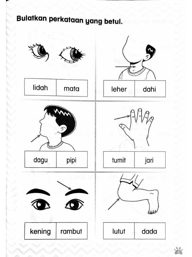 Bahasa Melayu 5 Tahun Pdf