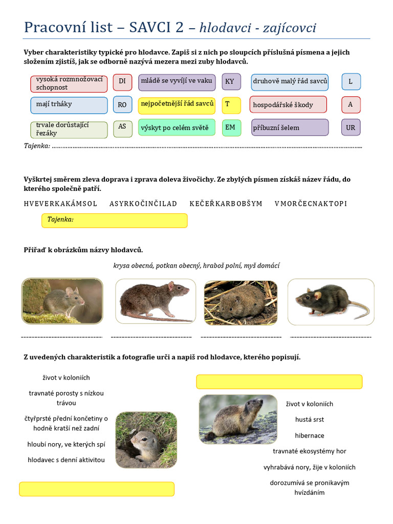 Prirodopis Prac. List Savci 2 Hlodavci Zajicovci 2 | PDF
