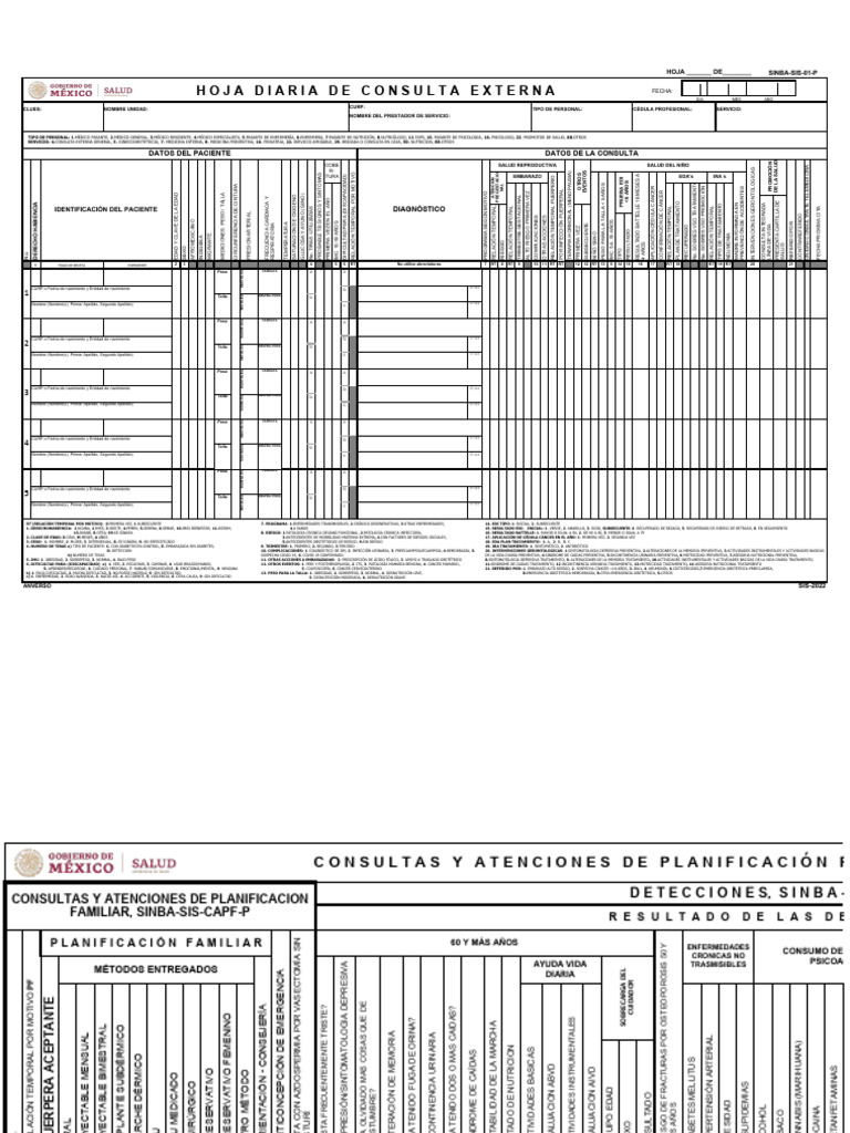 Nueva Hoja Diaria 2023 | PDF | Medicina CLINICA | Ciencias de la Salud