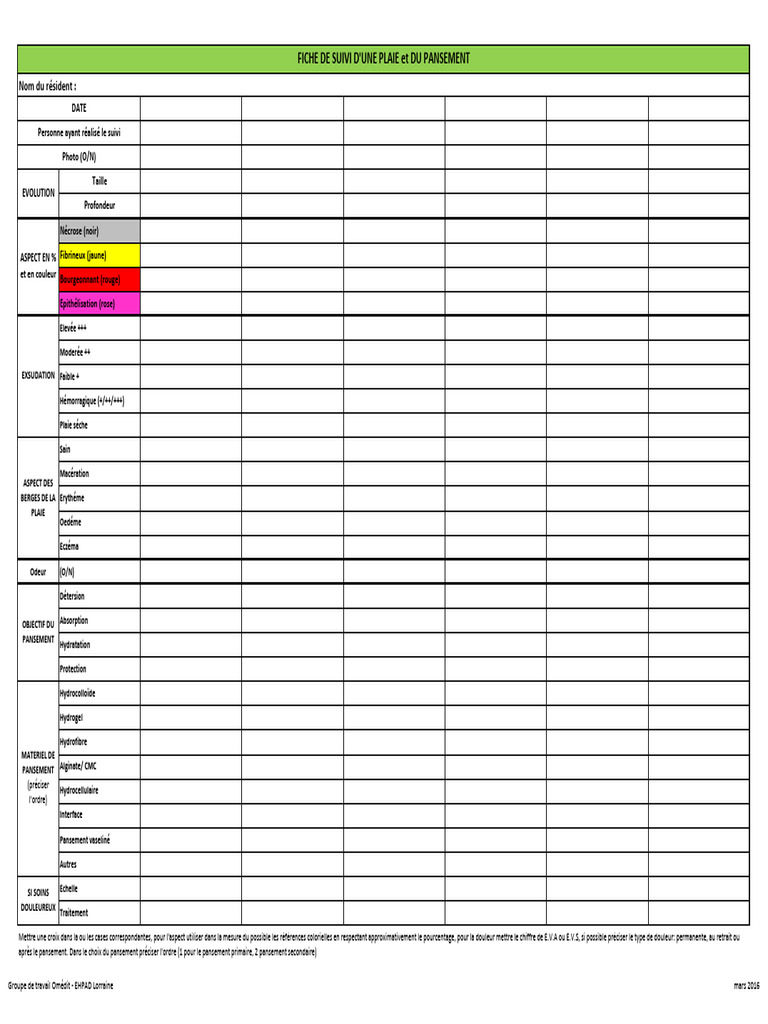 Fiche de Suivi de Plaie et Pansement | PDF