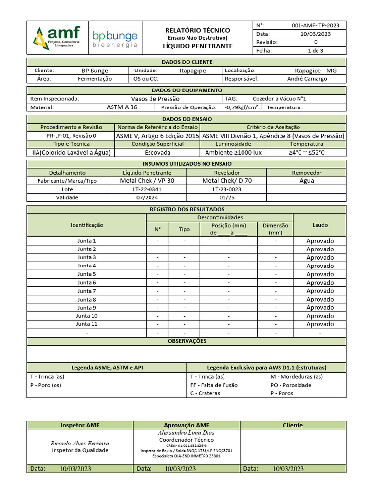 Modelo de Relatório END-LP AMF 23-01-23 | PDF