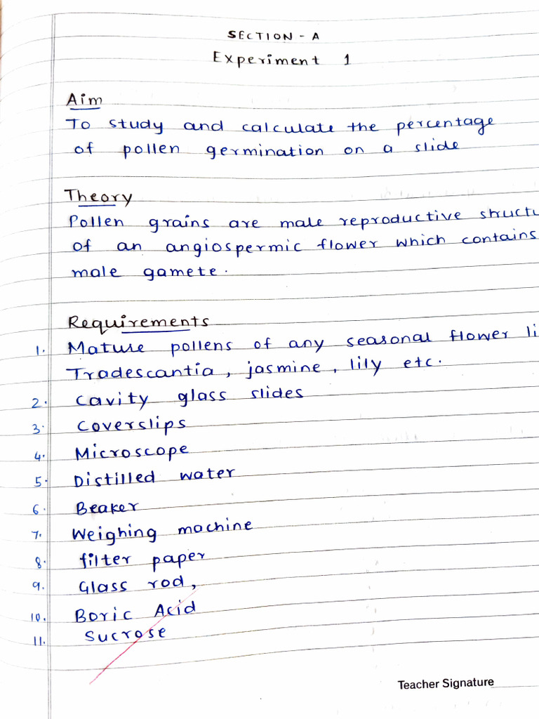 GR 12 Pollen Germination Practical | PDF | Plant Reproduction | Horticulture