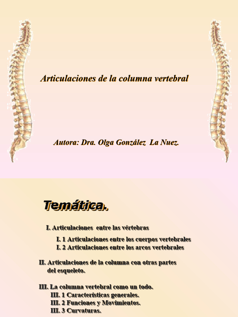 Columnna Vertebral Articulaciones | Descargar gratis PDF | La columna vertebral | Articulación