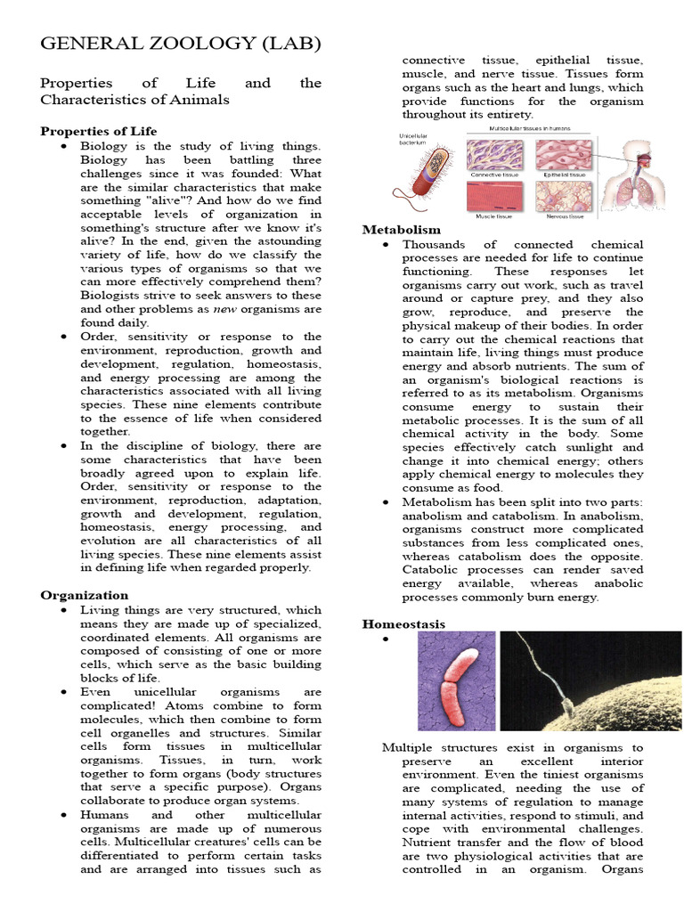 General Zoology | PDF | Organisms | Cell (Biology)