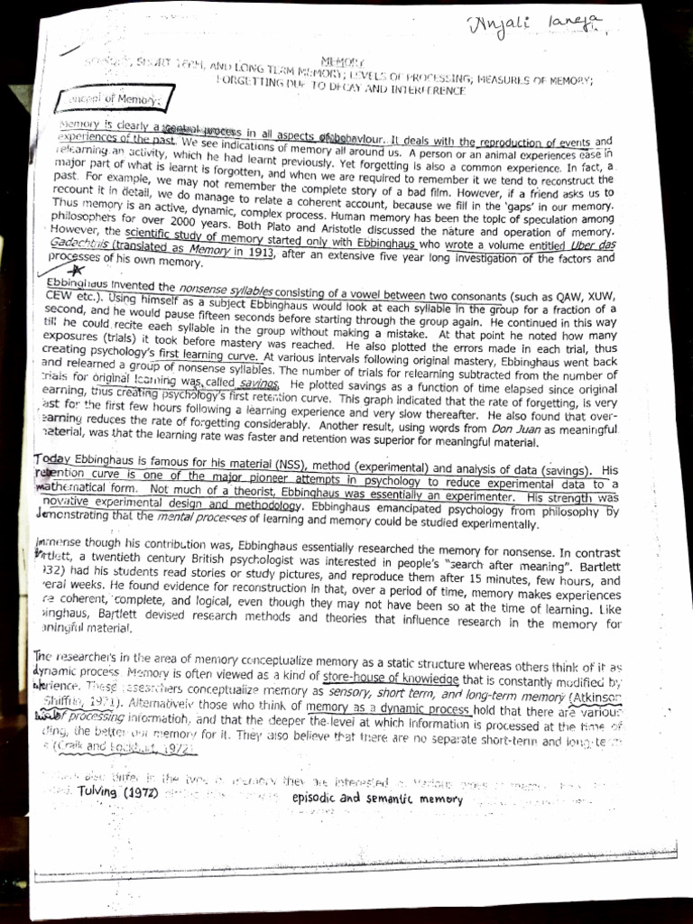 BA 2 Memory Part 1 | PDF | Memory | Recall (Memory)