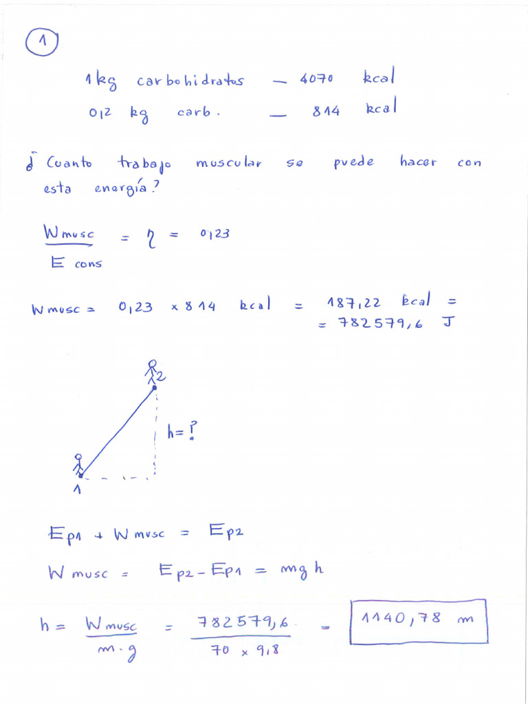 Problemas Tut1 Resueltos | PDF
