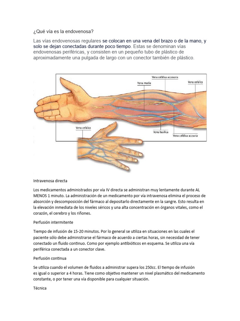 vía endovenosa (1) | PDF | Terapia intravenosa | Medicamentos con receta