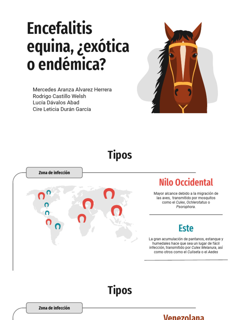 Encefalitis Equina: Tipos y Diagnóstico | PDF