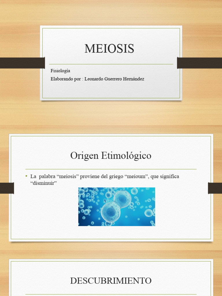 Meiosis | PDF