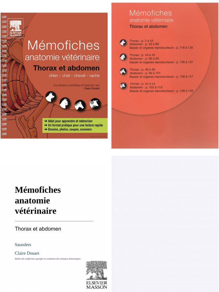 Mémofiches Anatomie Vétérinaire THORAX ET ABDOMEN | PDF Mémofiches Anatomie Vétérinaire THORAX ET ABDOMEN | PDF