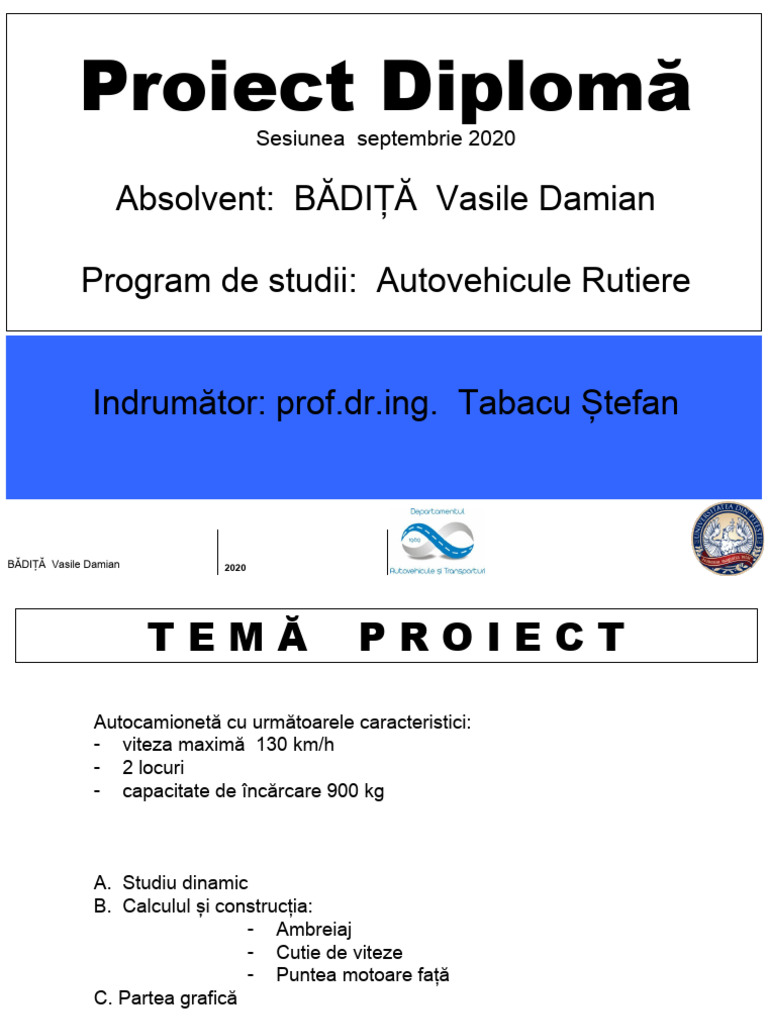 Prezentare Badita Damian | PDF
