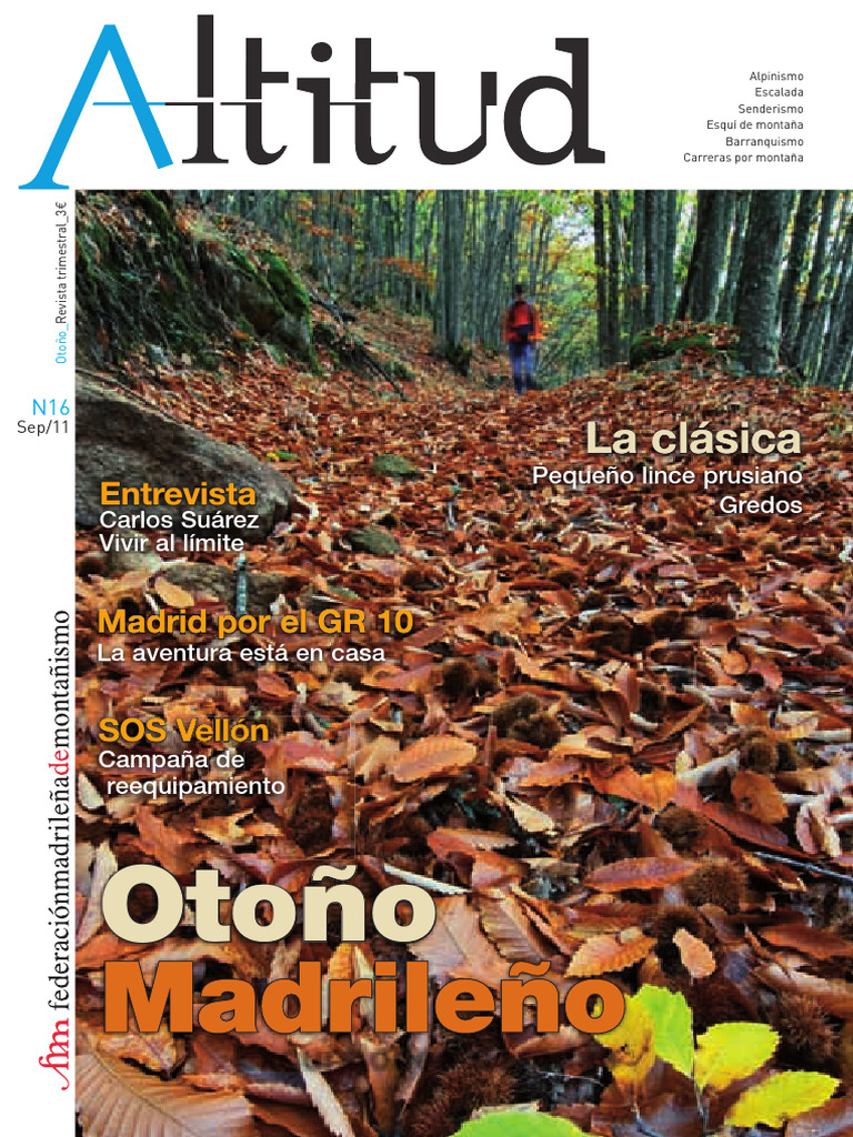 Altitud FMM n16 | PDF