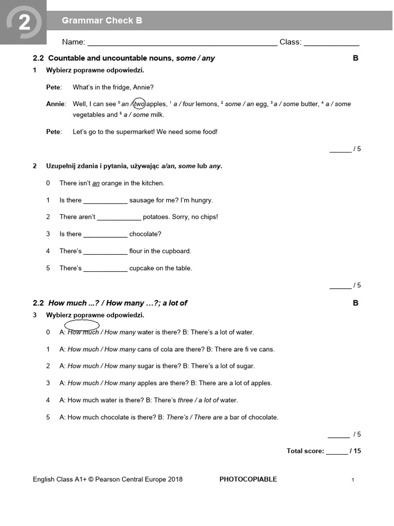 EC - A1P - Grammar Check 2B | PDF