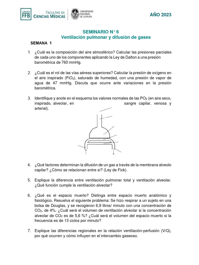 Seminario 6 FFB - Ventilación Pulmonar y Difusión de Gases 2023-2 | Descargar gratis PDF ...