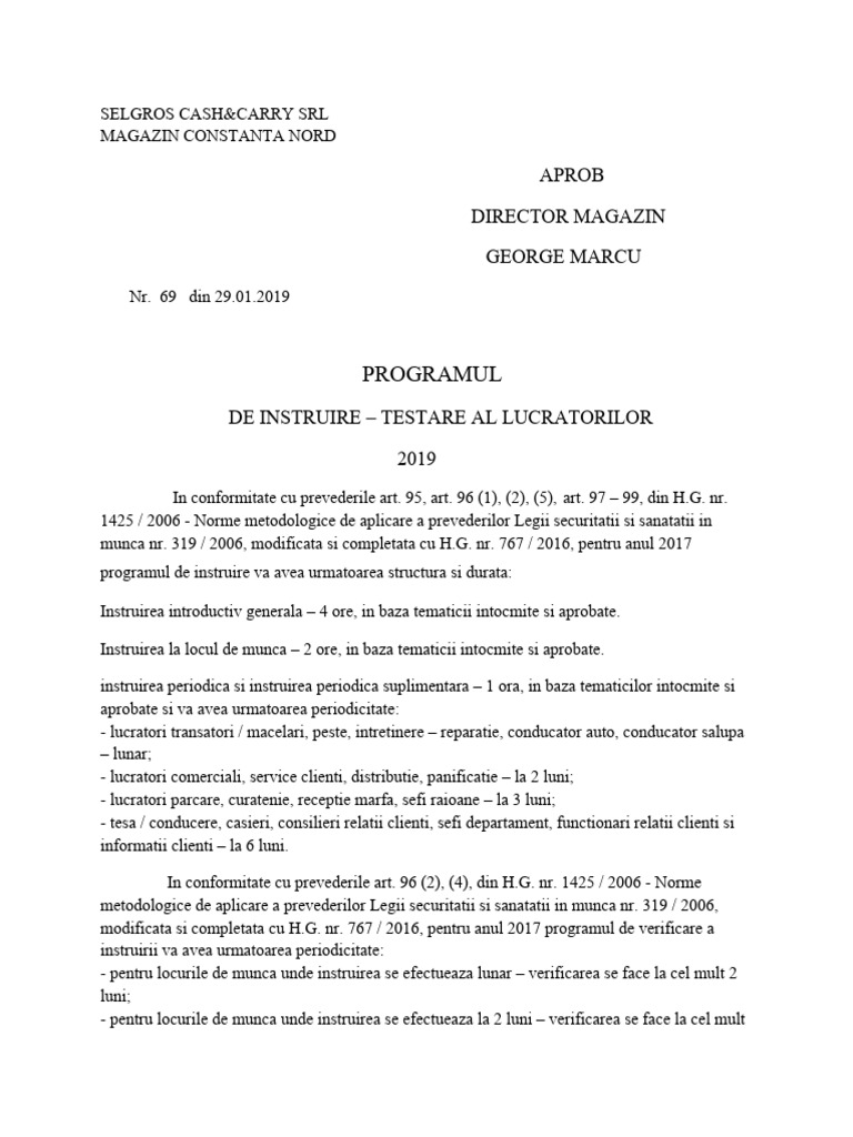 Instructiuni Verificare - Testare SSM | PDF