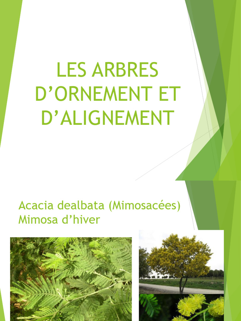 Les Arbres - BAC PRO | PDF
